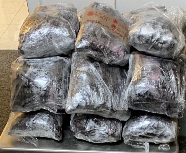 Cbp Officers Seize Crystal Methamphetamine Worth Over 580k At Eagle